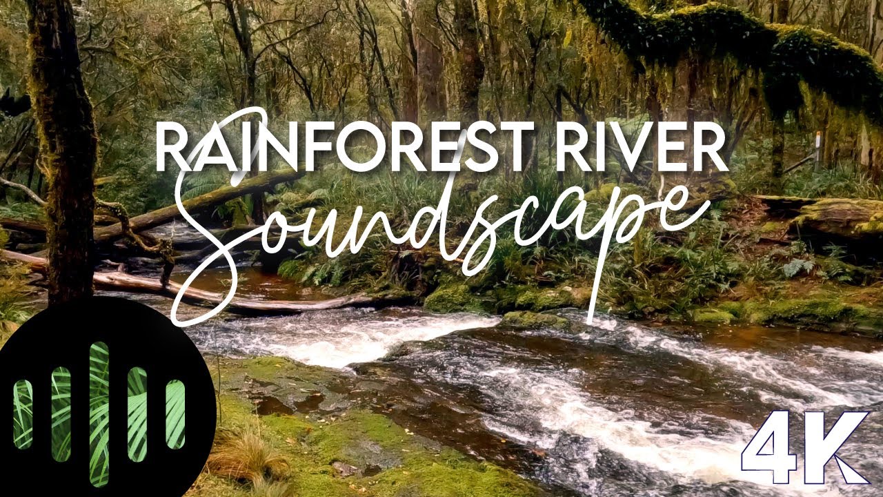 River Sounds for Sleep and Relaxation | 25 Minute Rainforest Ambience ...