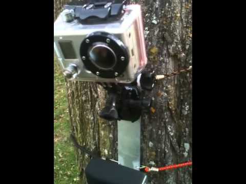 GoPro and Flip Cameras Tree Mount - YouTube