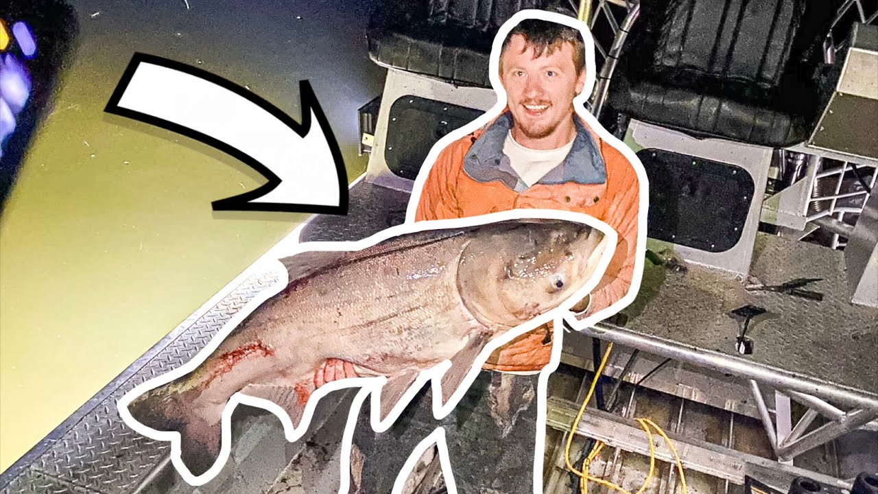 Oklahoma State Record Bighead Carp Caught ON FILM! - YouTube
