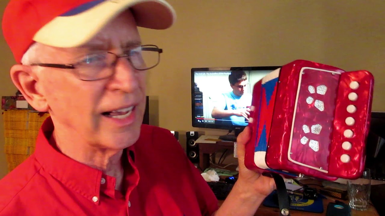 Learn two musical instruments in one day? Toy accordion & harmonica ...