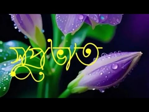 Ratna Pal is live! good morning friends - YouTube