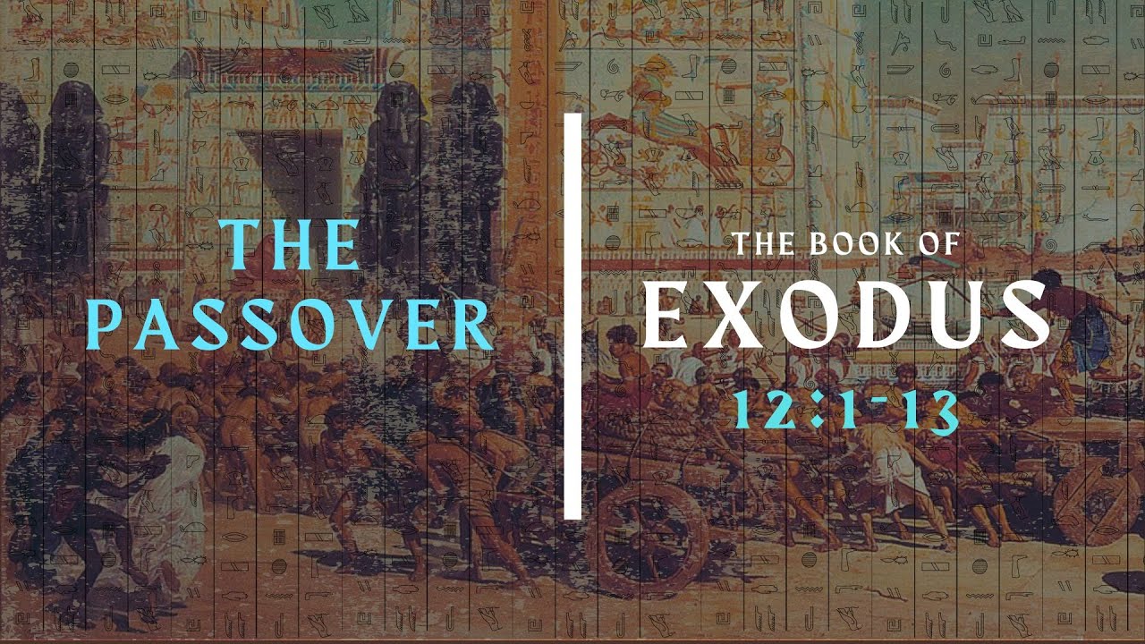 The Passover | Exodus 12:1-13 - YouTube