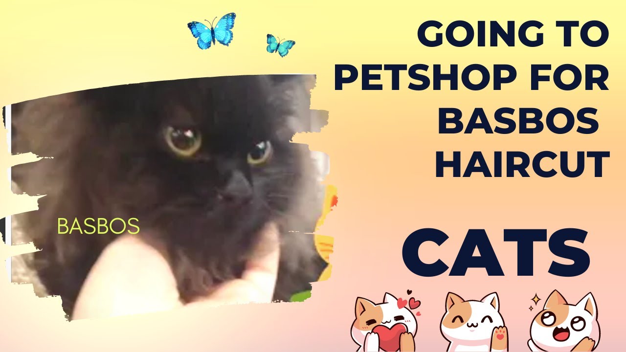 📍Basbos Ang Alagang Pusa | Haircut At Golden Cats | Lorife Masangcay ...