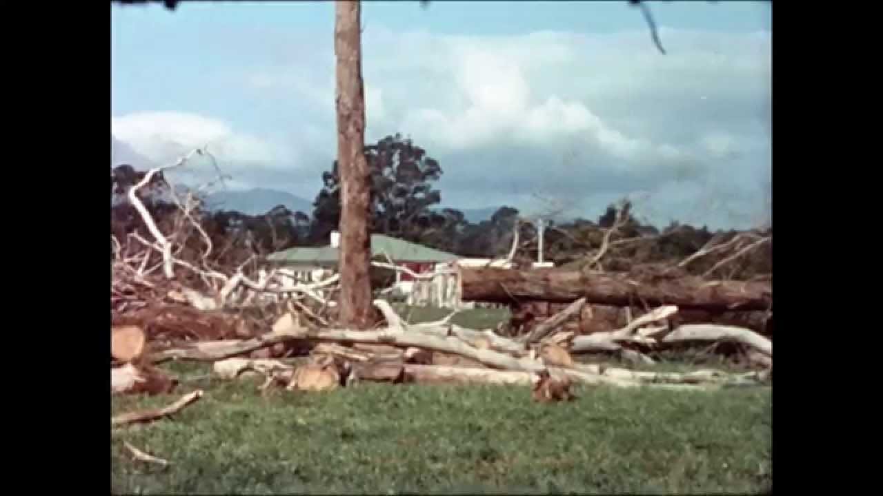 Standard 8mm, 720p, blasting trees, New Zealand, 1960 - YouTube