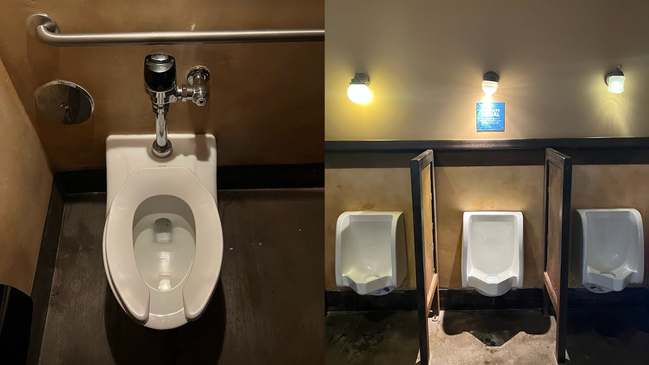 San Diego Zoo Safari Park Men’s Restroom Full Shoot 4. - YouTube