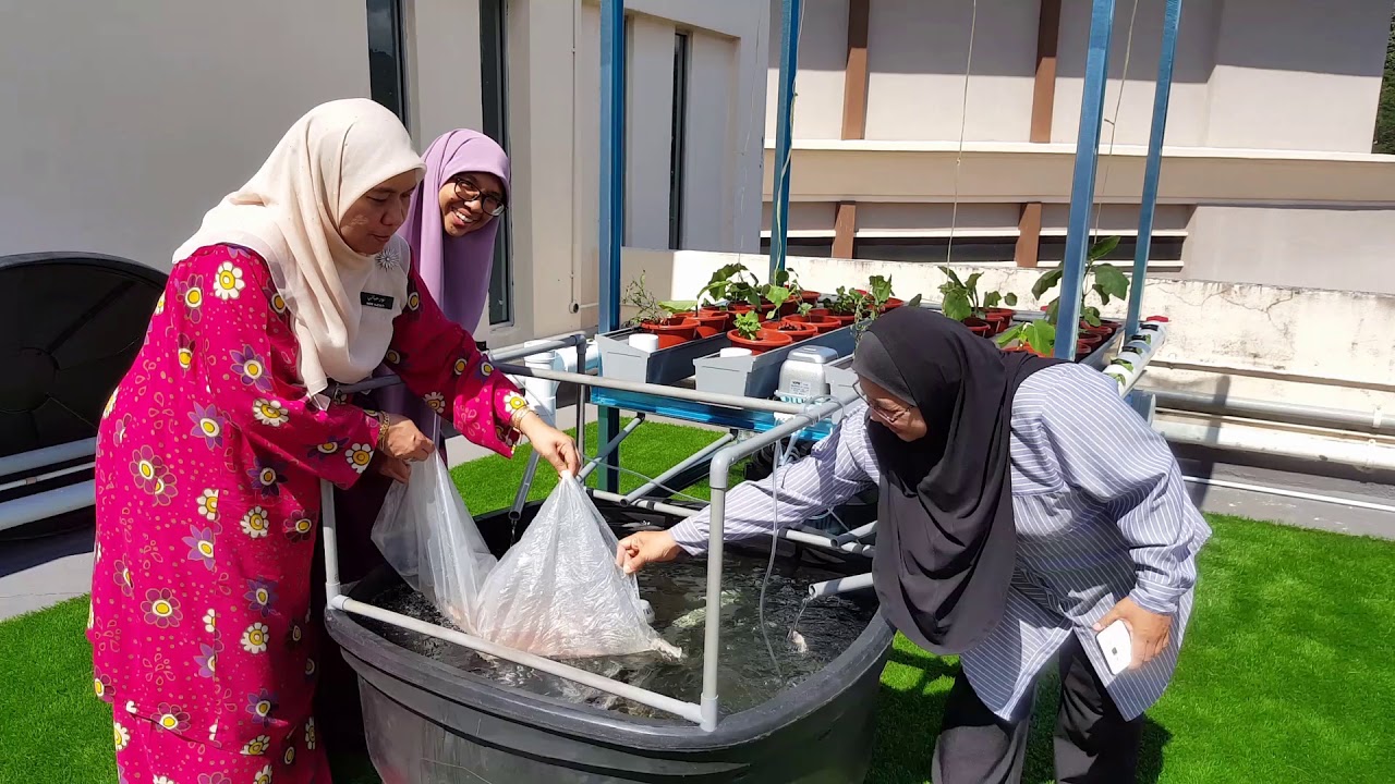 Aquaponics set crafted by Abdul Salam Khamsah Aquaponics for SBPI ...