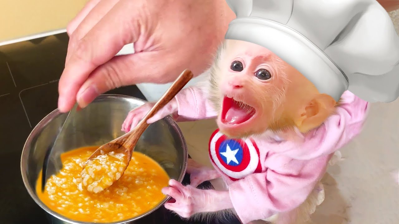 ¡El mono bebé Bibi ayuda a papá a cocinar una deliciosa y nutritiva ...