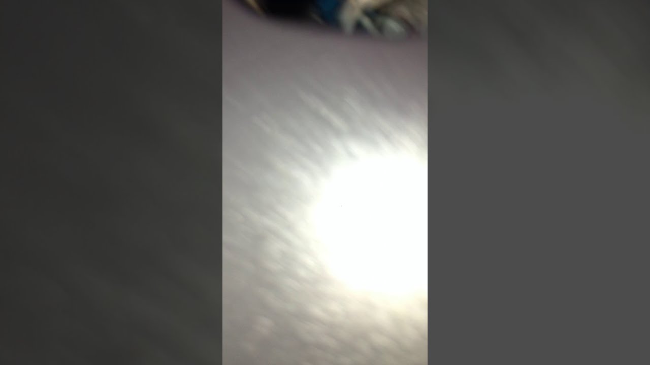 Digging Through The Target Recycling Bin And Finding Phones! - YouTube