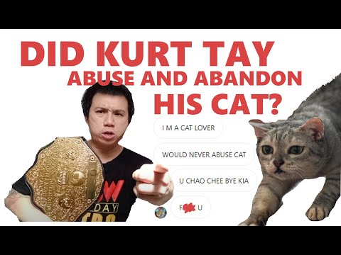 Did Kurt Tay abuse and abandon his cat?