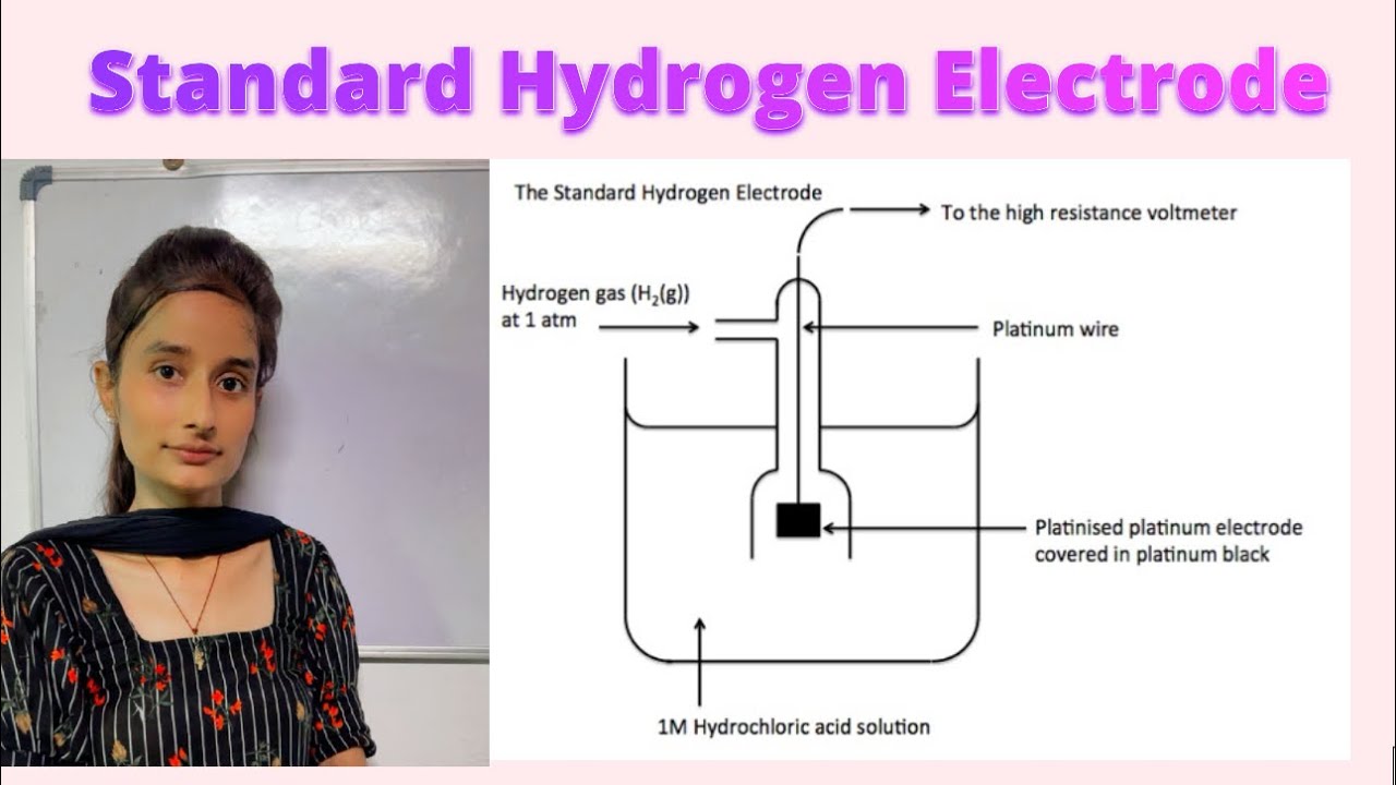 Standard Hydrogen Electrode (SHE) #chemistry#shzclasses - YouTube
