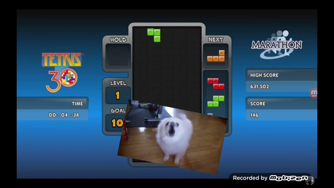 tetris dog meme - YouTube