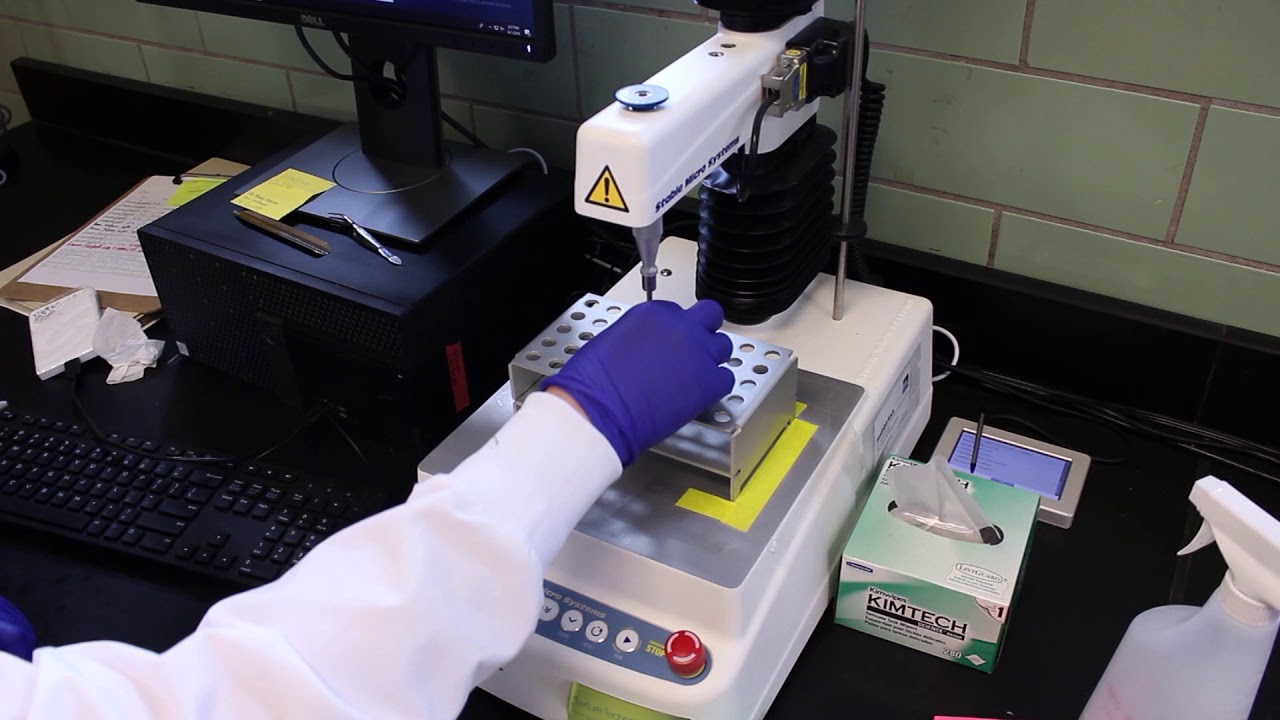 NCSU Blueberry Genetics and Genomics Phenotyping Protocol: Texture ...