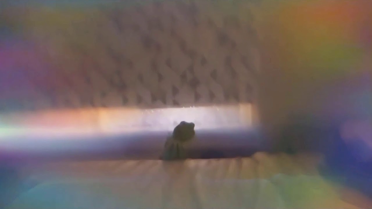 Kermit sans 2.0 god is real - YouTube