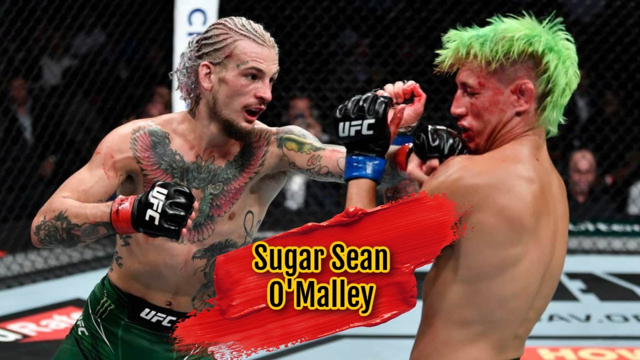 Sugar Sean O'Malley Best Knockouts / Highlights - “Soldier” - YouTube