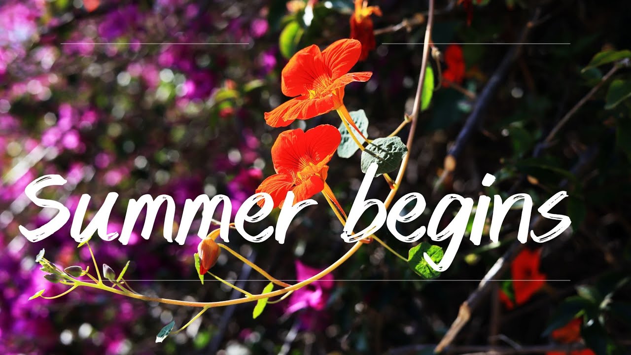 Summer begins - YouTube