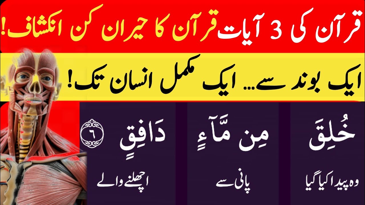 قطرہ، نُطفہ، انسان | صرف 3 آیات میں تخلیق کی کہانی | Muhammad Waqas Akhundzada| - YouTube