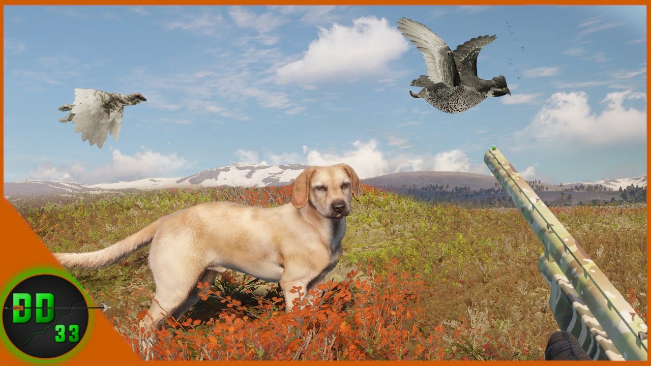 Grouse Hunting with Our New LABRADOR Retriever Dog! Call Of The Wild ...