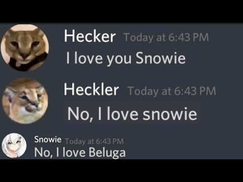 Beluga,Heckler and Hecker love Snowie - YouTube