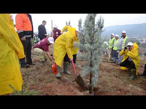 TRG 11112019 TURGUTLU 3 BIN 71 FIDAN DIKILDI   GELECEGE NEFES