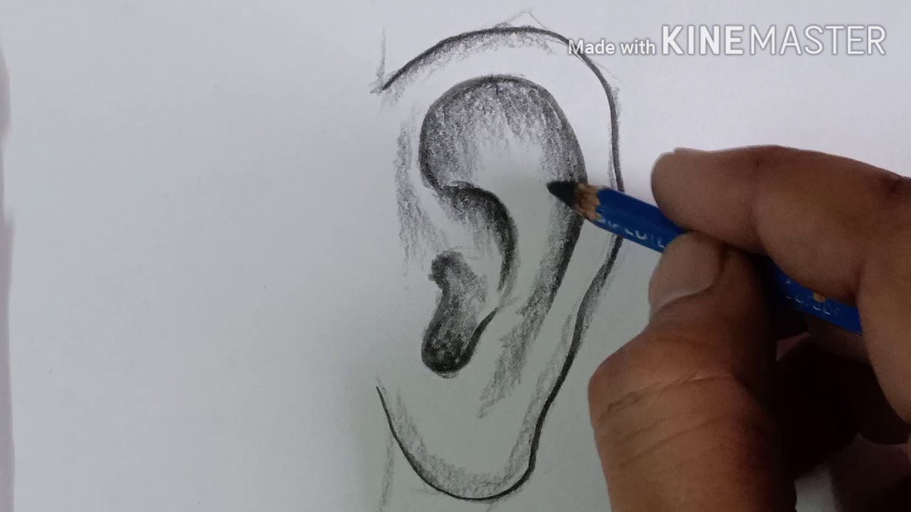 How to Draw Ear step by step - YouTube