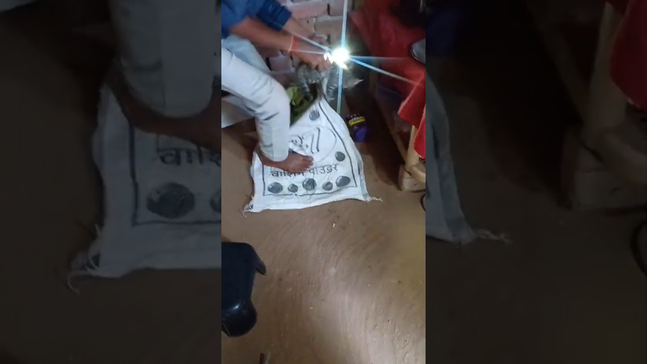 short video viral funny Billi comedy - YouTube