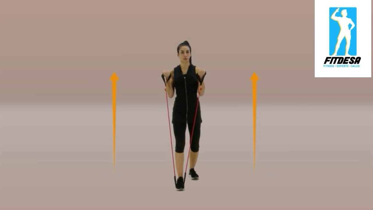 35_FITDESA HOME TRAINING CIRCUITO biceps-abs: curl con banda elástica ...