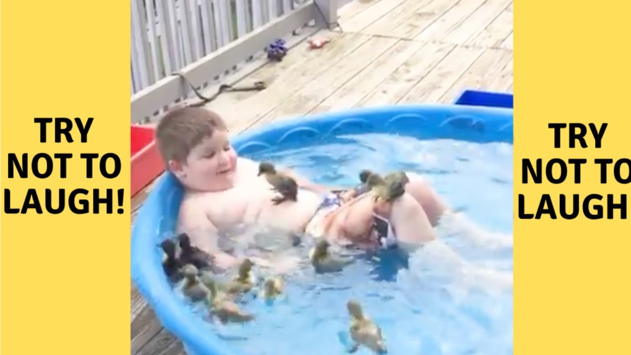 🤣 FUNNY ANIMALS 🤣 🐓 ANIMALS CHASING HUMANS 🐶 - YouTube