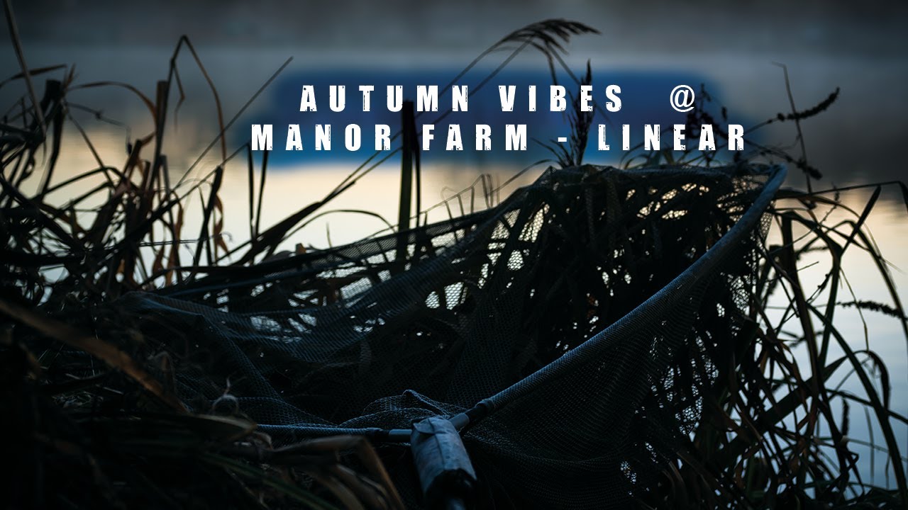 Autumn Vibes at Linear Fisheries' Manor Farm Lake - YouTube