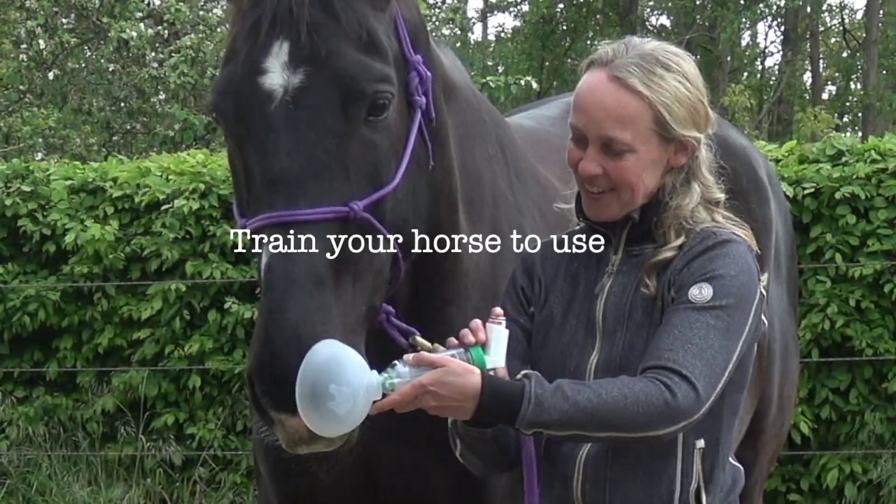 Train your horse to use the AeroHippus inhaler - YouTube