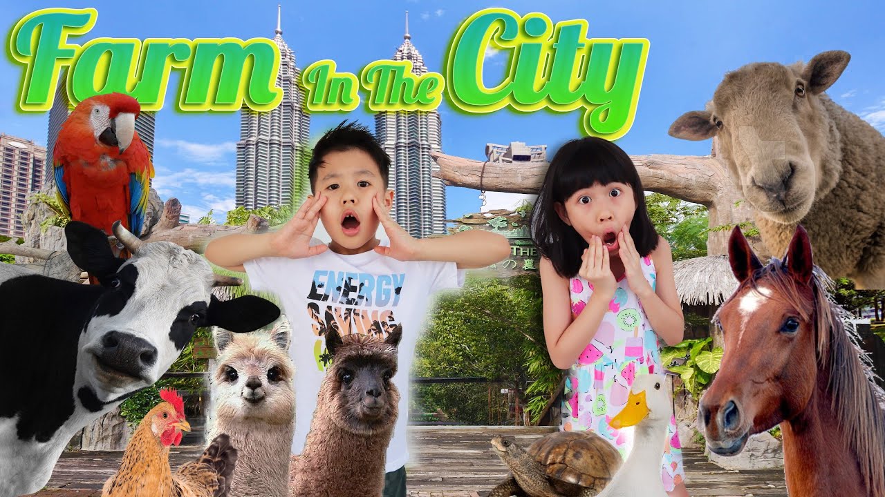 Stella & Hayden Day Trips At The Farm | Farm In The City 城の农场 - YouTube