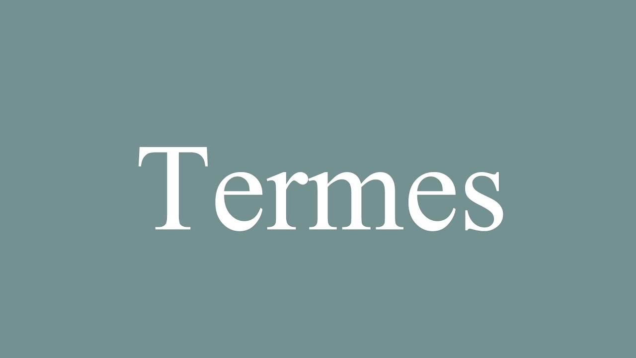 How to Pronounce ''Termes'' (Terms) Correctly in French - YouTube