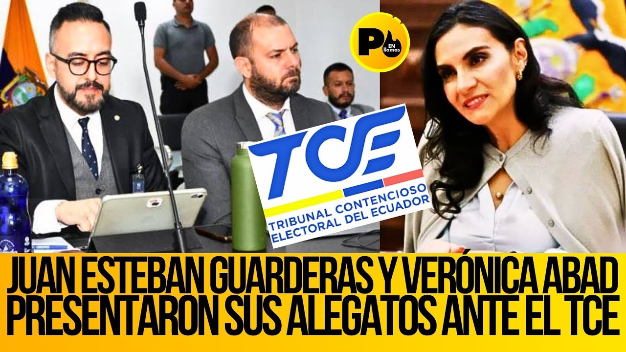 Juan Esteban Guarderas y Verónica Abad presentaron sus alegatos ante el ...