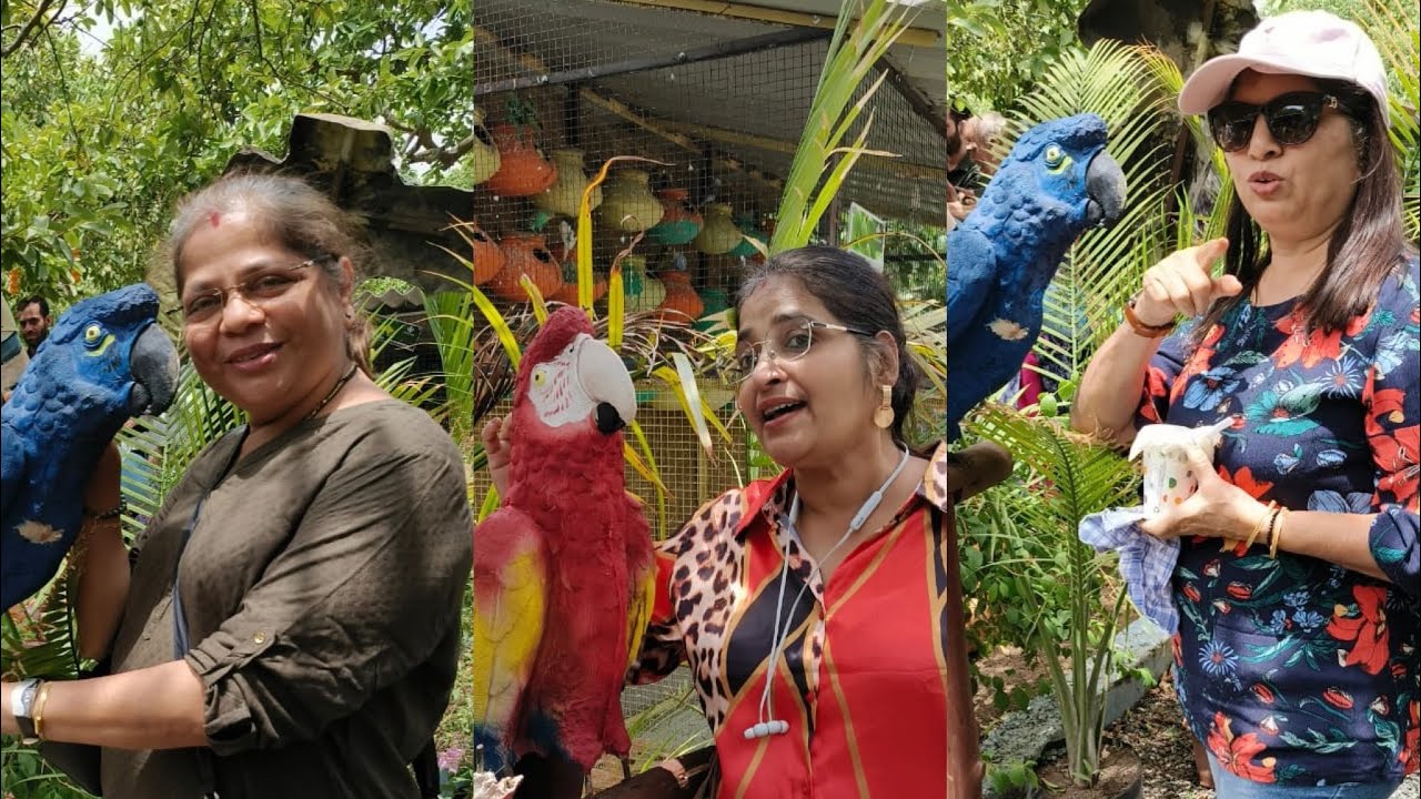 Peruchi wadi Chulivarchi misal @peruchi_wadi #forest #openair ...