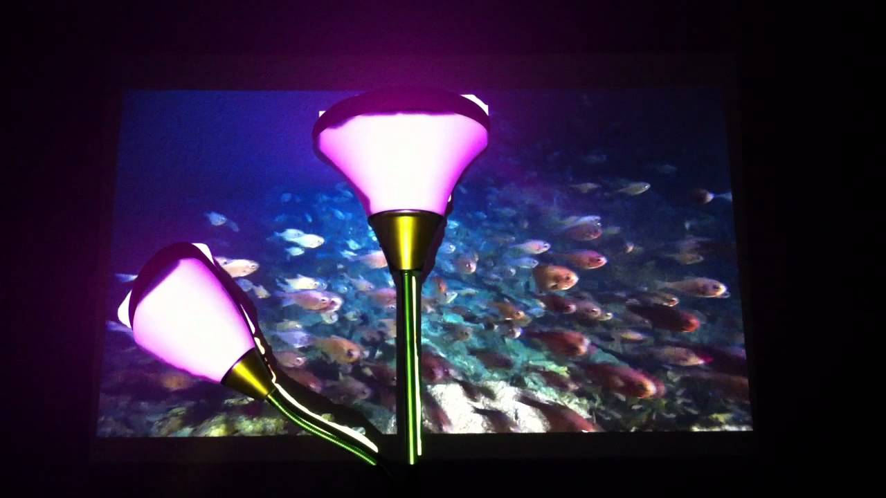 Projection Mapping Lamp Test w/ Fish Video - YouTube
