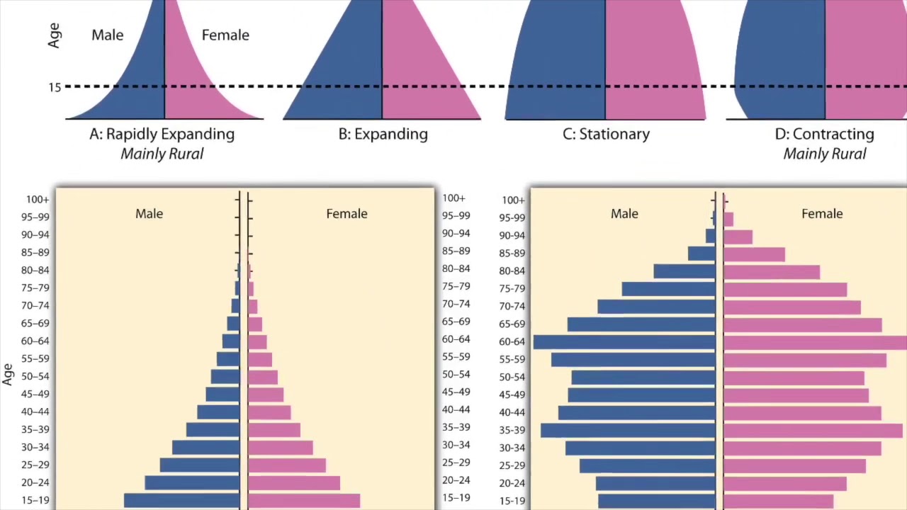 AP Hug Promo 2019 - YouTube