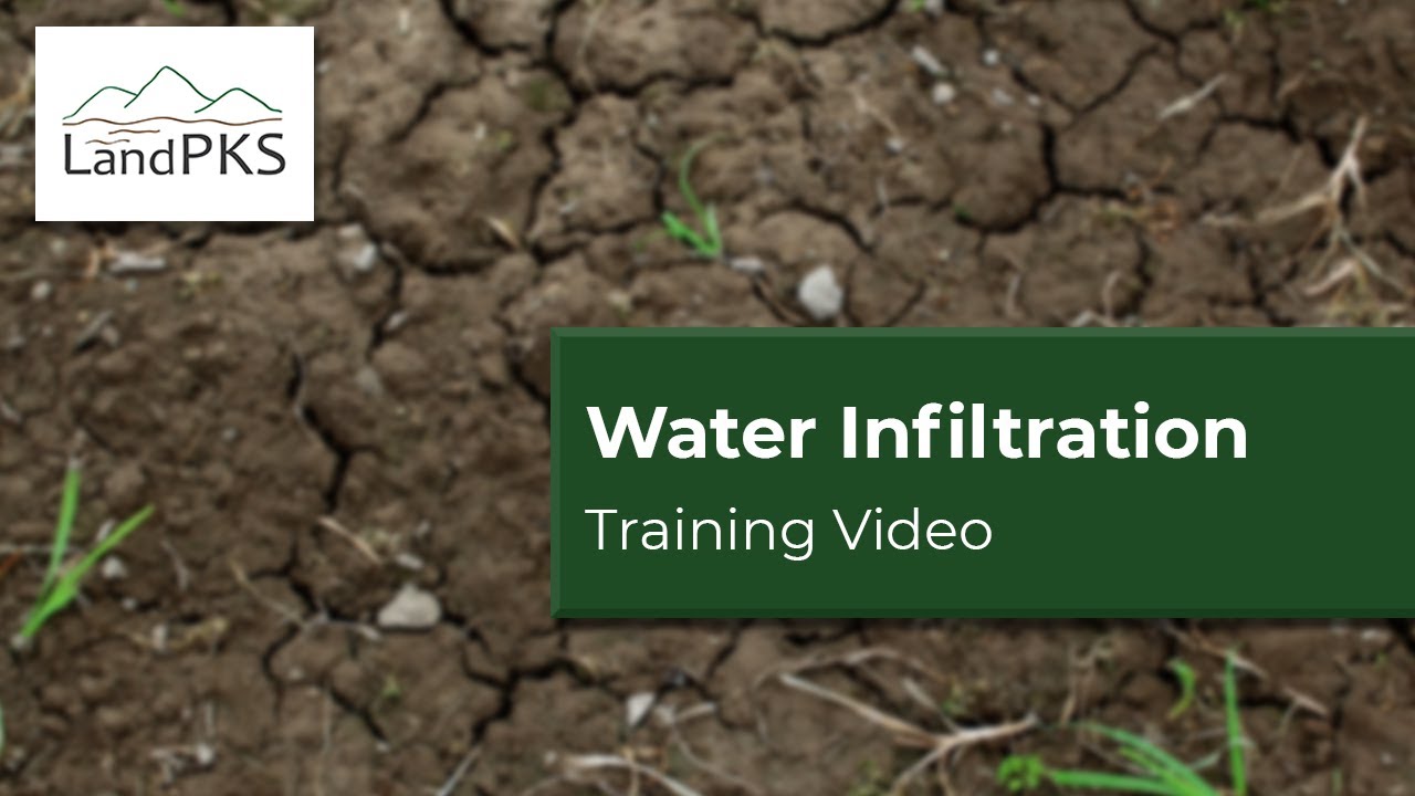 Single Ring Soil Water Infiltration Measurement - YouTube