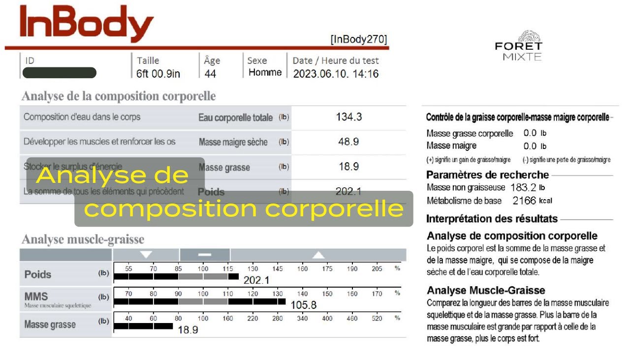 Analyse de composition corporelle InBody - Forêt Mixte #056 - YouTube