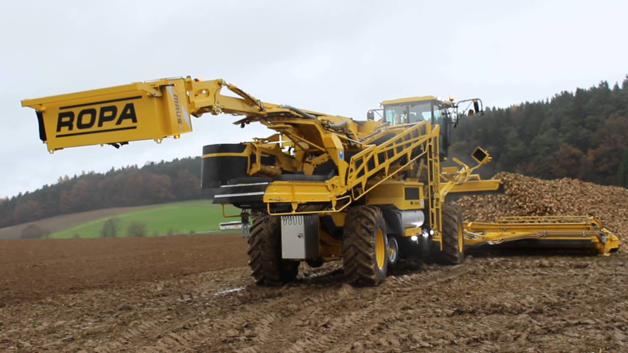 Ropa Maus 5 - YouTube