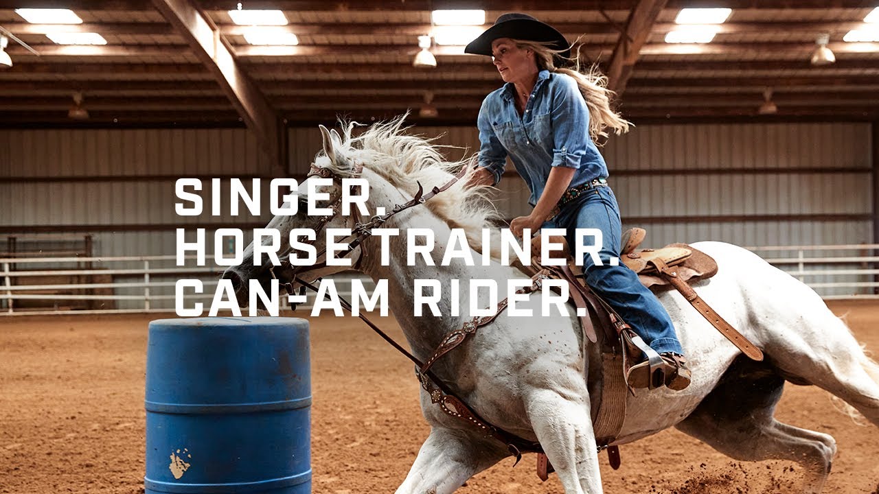 Kristy Lee Cook Horse