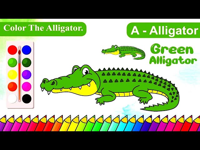 Alligator Drawing Color