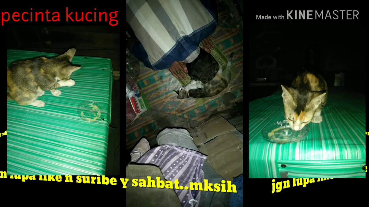 Aisyah si kembang desa..gguin shlat - YouTube