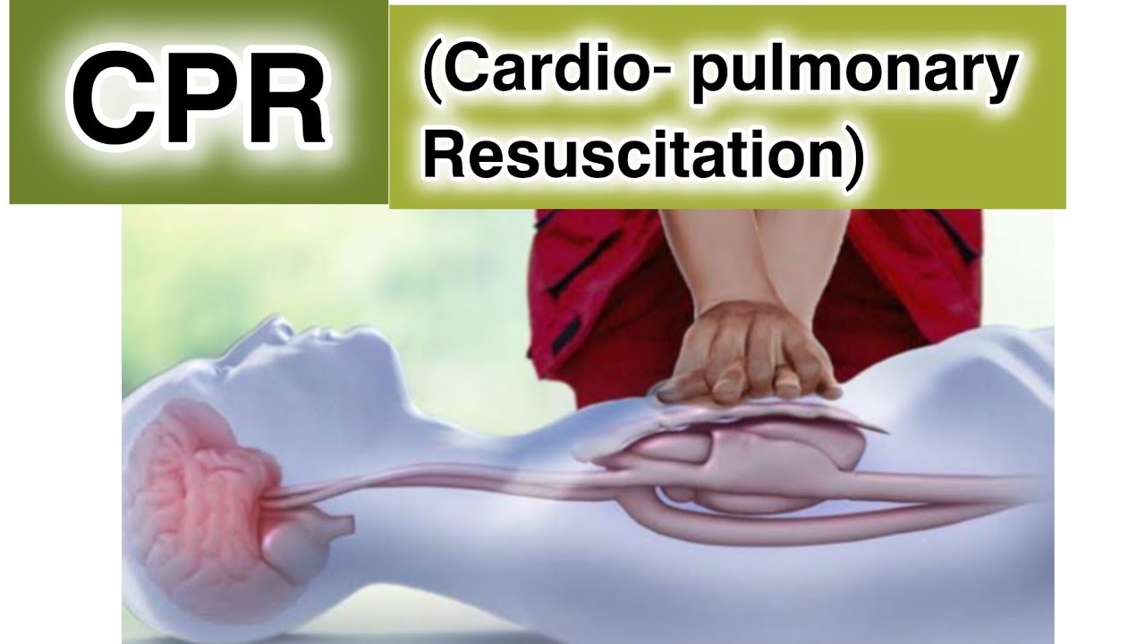 Learn How To Do CPR #medical #firstaid #pharmacian #cpr #english - YouTube