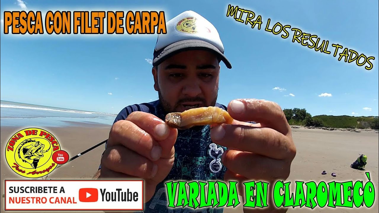 FILET DE CARPA PARA VARIADA DE MAR ¿FUNCIONA? #carnada #filetdecarpa # ...