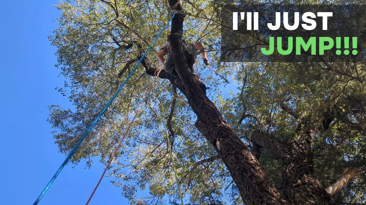 Tree Jump Test! Putting My Harness and Stop Descender to the Ultimate ...