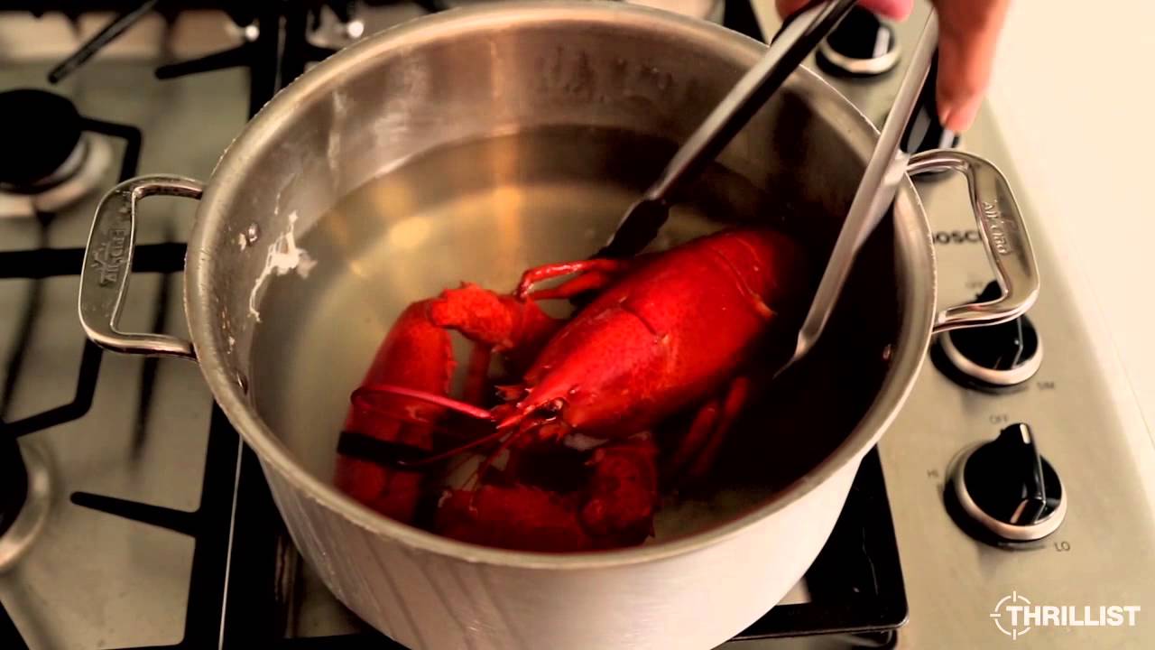 Thrillist Recipes: How to Cook a Lobster - YouTube