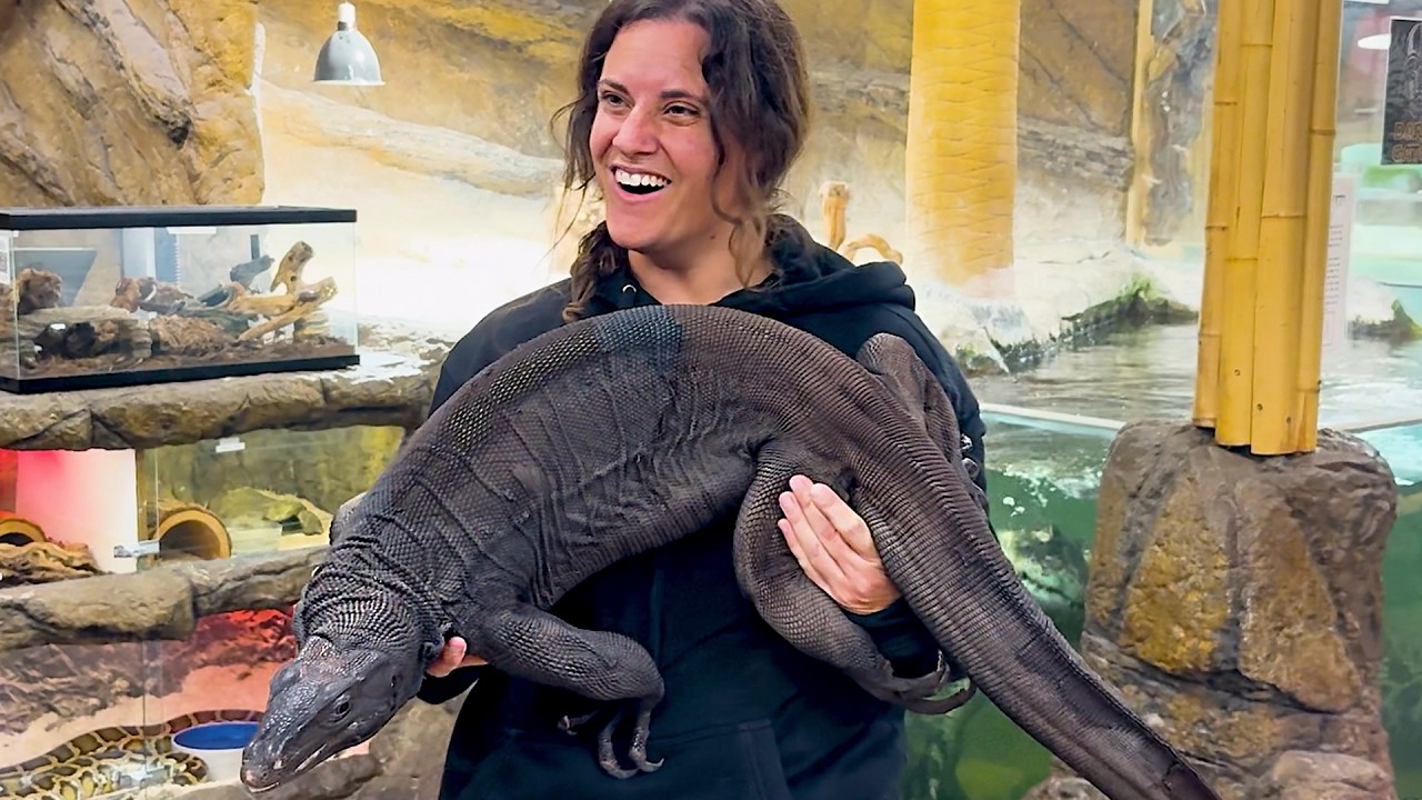 GIANT BLACK DRAGON MONITOR LIZARD😅 - YouTube