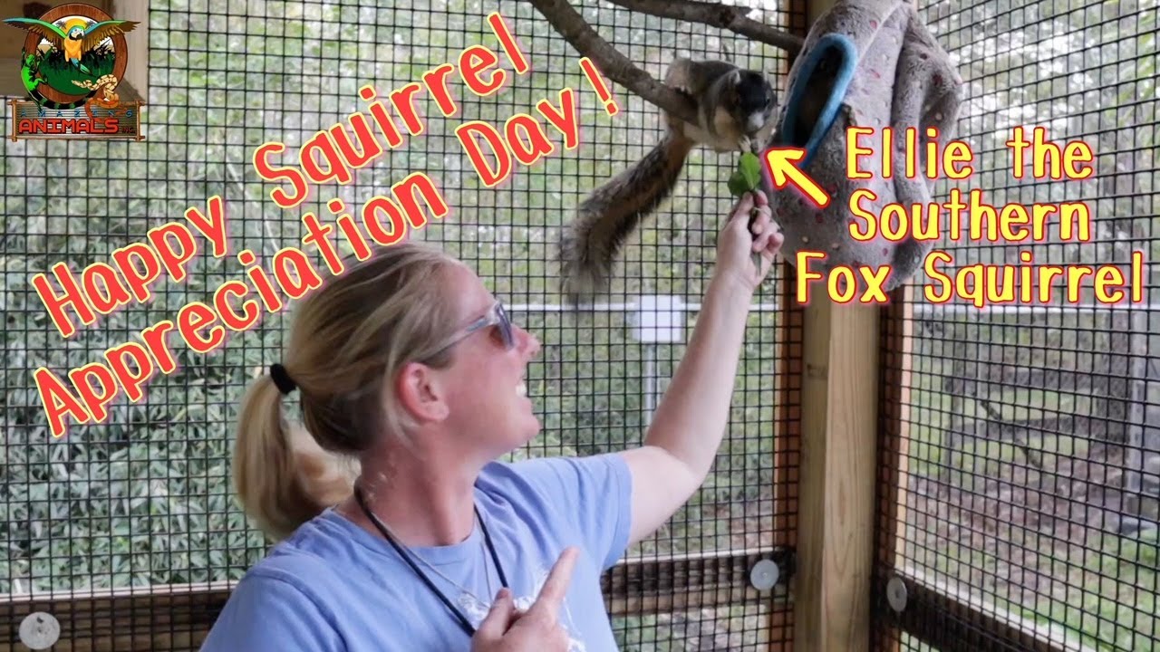 It's Squirrel Appreciation Day and Brian saves Kylie from falling ...