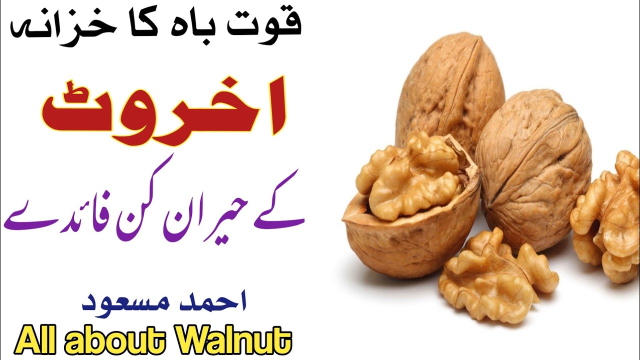 akhrot ke faedy | benefits of Walnut | akhroot khany k faidy | akhrot ...