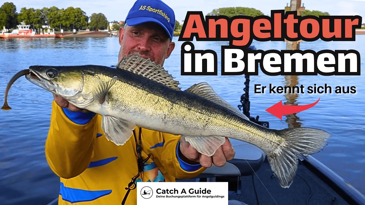 Angelguiding: ZANDERANGELN vom BOOT an der Weser in BREMEN - YouTube