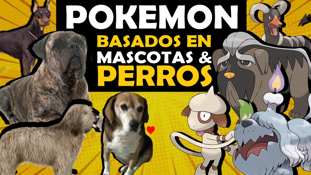 EXPLICANDO TODOS los POKÉMON BASADOS EN MASCOTAS (Perros & Gatos) / Mr ...